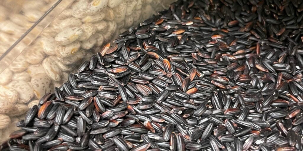 Black Rice: The superfood from Manipur, with a GI tag | Northeast Live