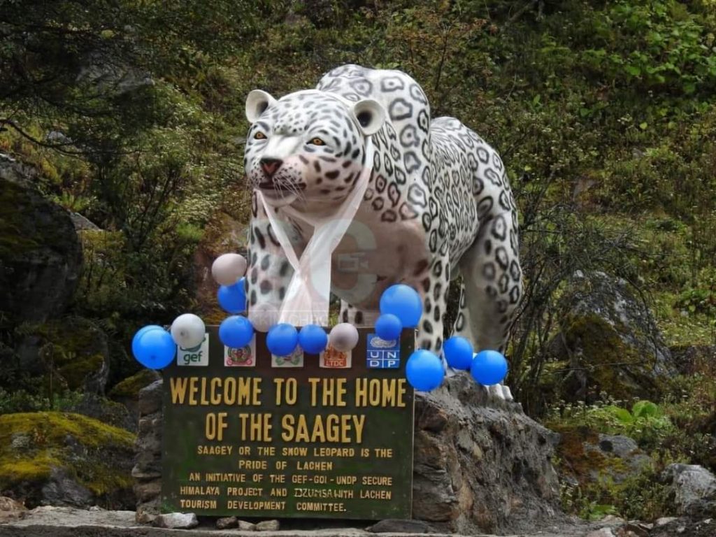 Endangered Snow leopard statue unveiled in North Sikkim's Thangu ...