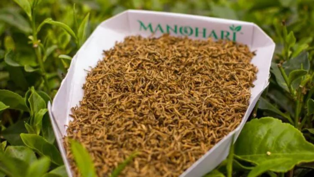 Assam’s Manohari Gold Tea breaks record, sells for Rs. 1.15 lakh a kg ...