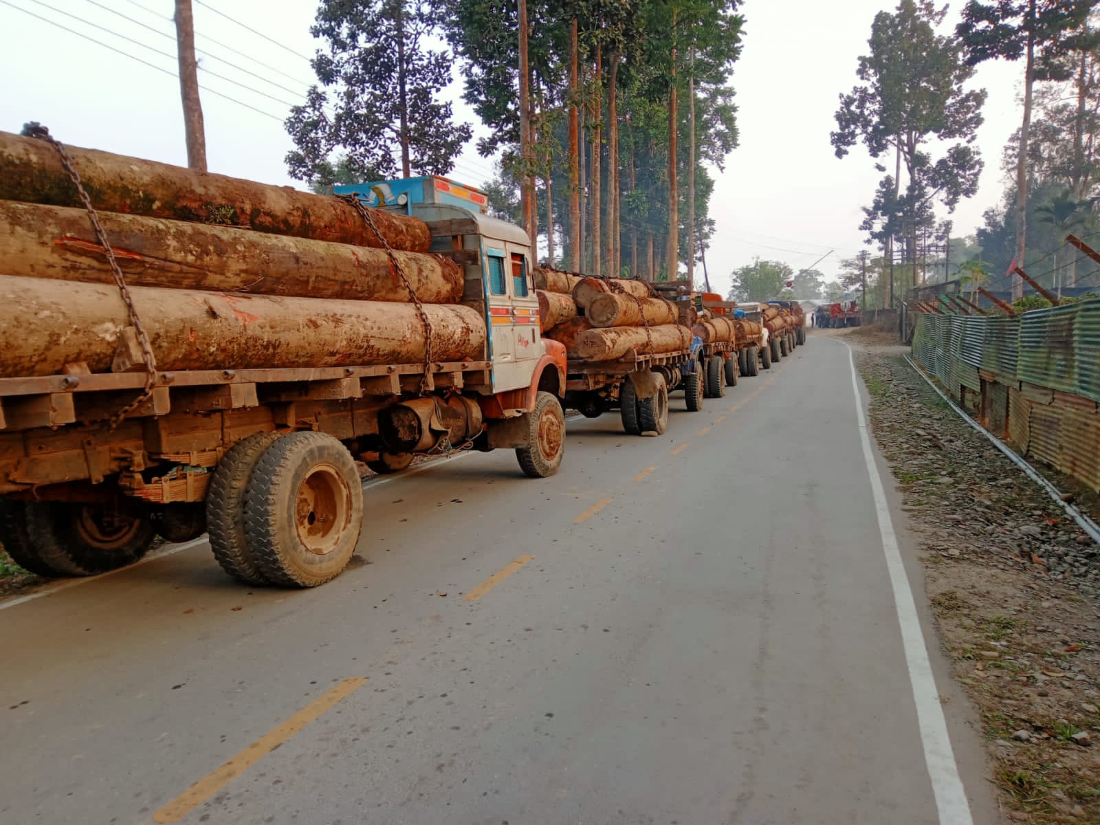 Army seizes several truck loads of illegal timber logs in Arunachal ...