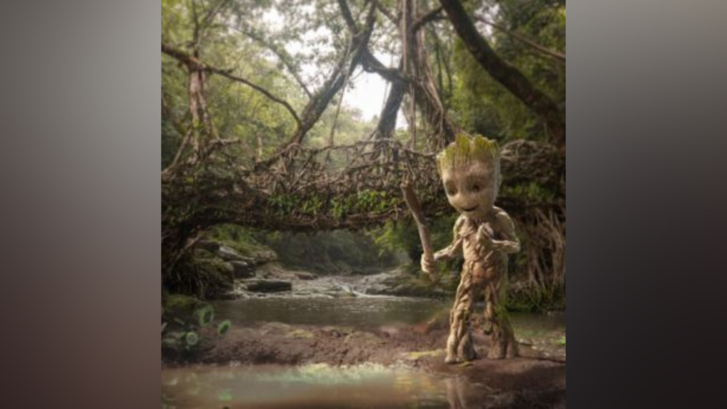 Did you spot Baby Groot in the root bridge in Meghalaya? | Northeast Live