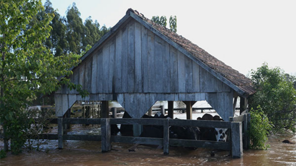 Cyclone devastates southern Brazil; over 20 dead, hundreds displaced ...
