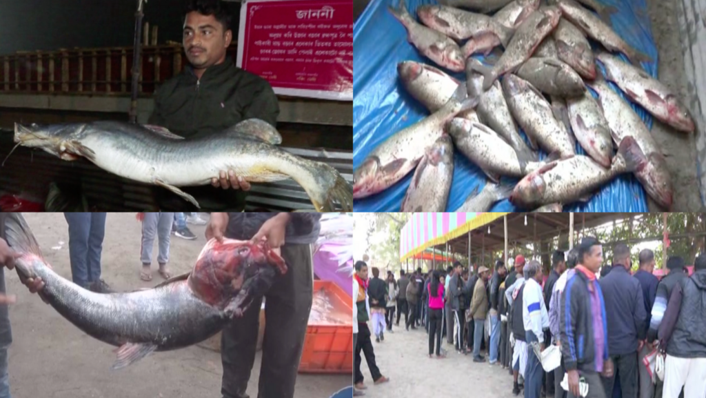 Assam celebrates Magh Bihu, people throng fish markets on Uruka