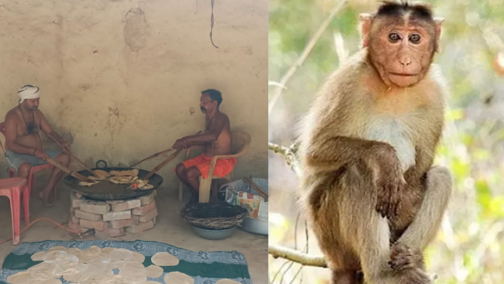 This Indian village organised a funeral for a monkey