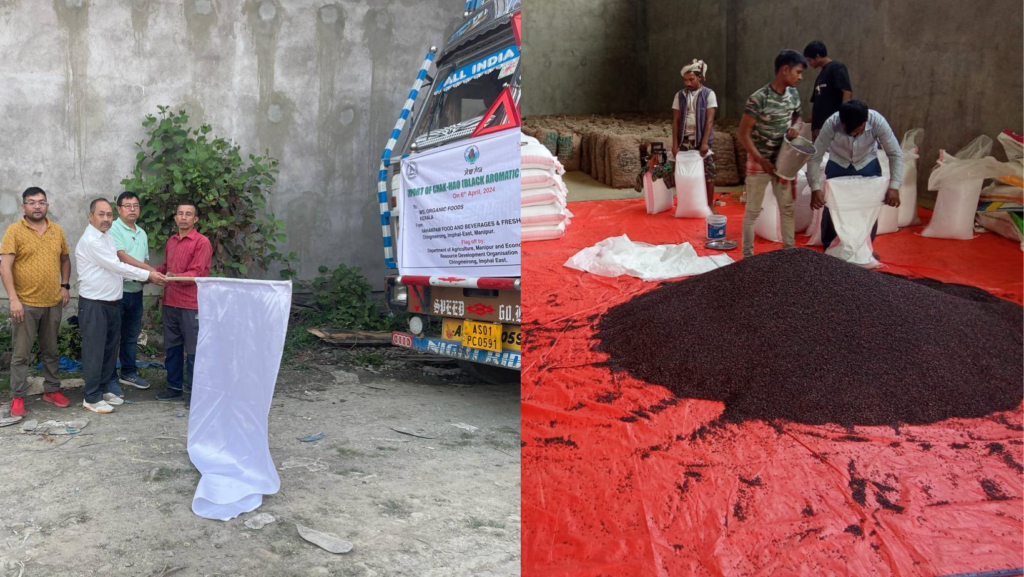 Now enjoy Manipur’s unique aromatic black rice Chakhao in Kerala, to be ...