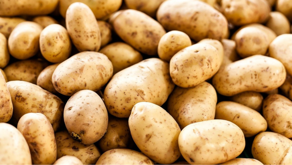 Assam: Soon Potatoes Might Go Missing from your Plate | Northeast Live