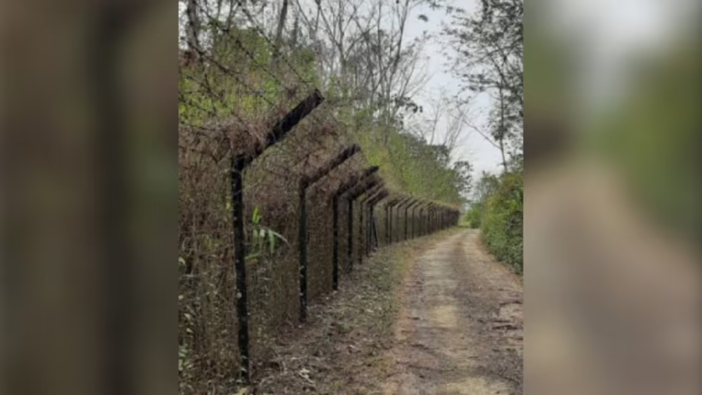 Mizoram Restricts Movement Including Cattle Grazing Within 3 Kms of Bangladesh Border from 6 AM ...