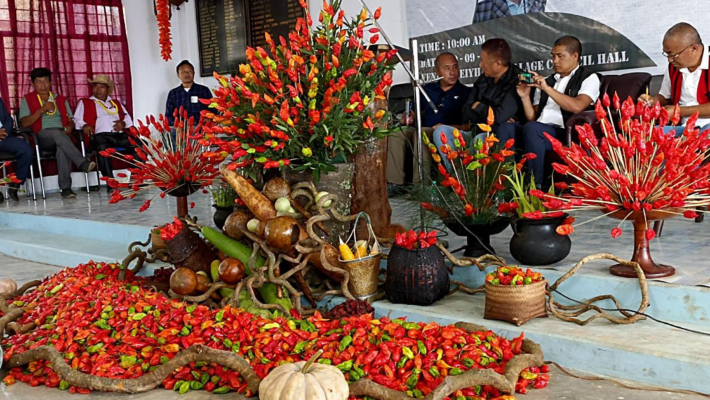 Organic King Chilli - Naga Mircha Festival 2024 to be Held at Seiyhama ...