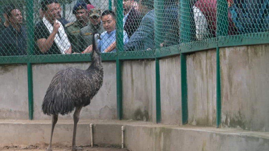 Sikkim: CM Inaugurates Yangthang Farm, Aims to Boost Tourism in Pelling