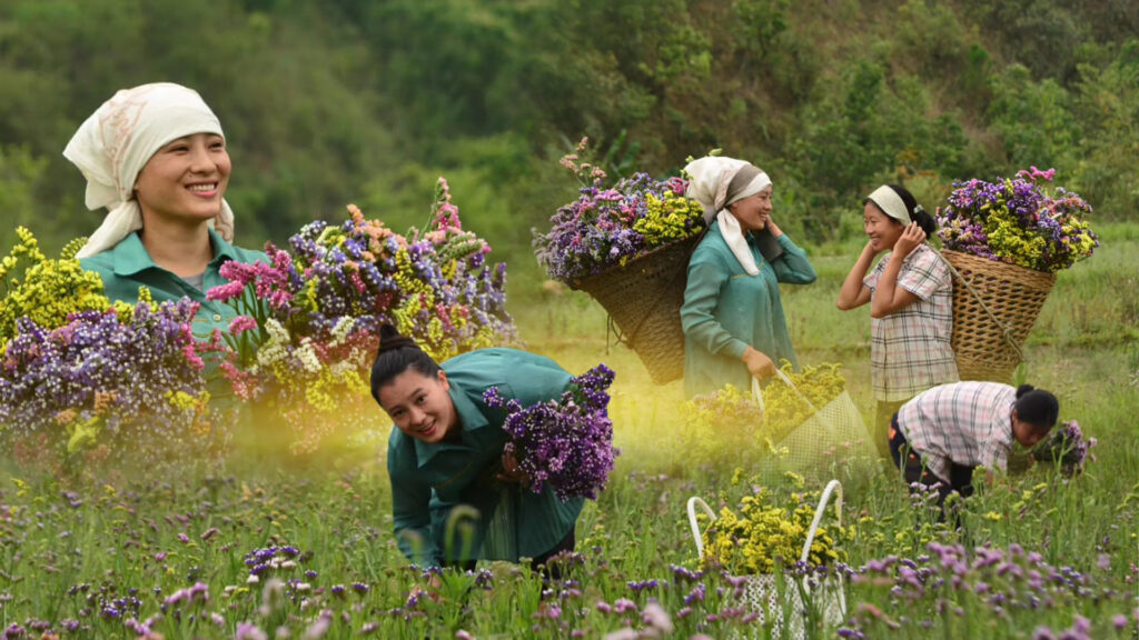 Reviving Manipur's Lost Art: Subika Art Finds New Life in Academia