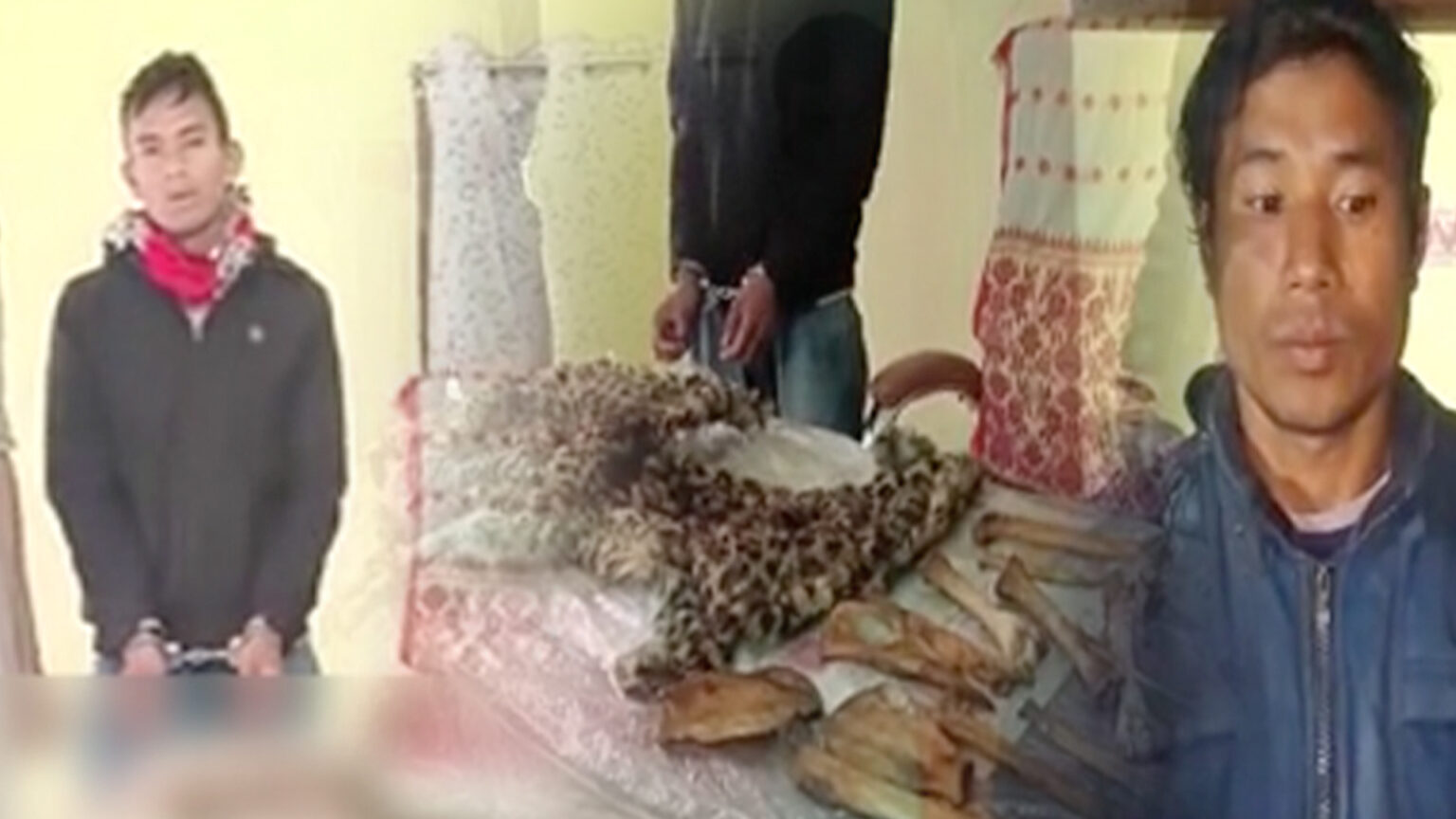 2 Men Kill and Eat a Leopard In Assam’s Moran, Arrested