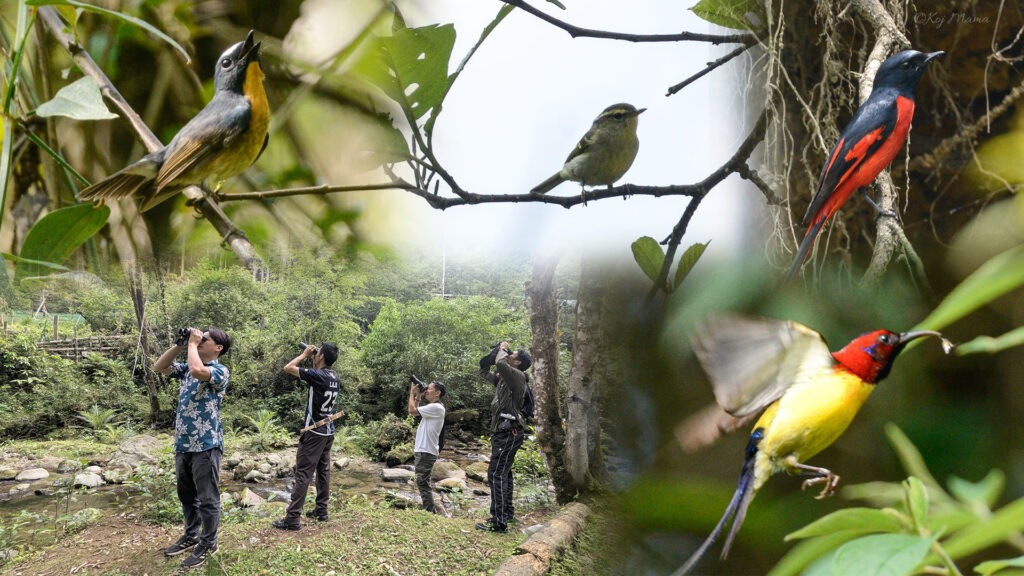 Birding Clubs in Arunachal Celebrate Himalayan Bird Count 2024