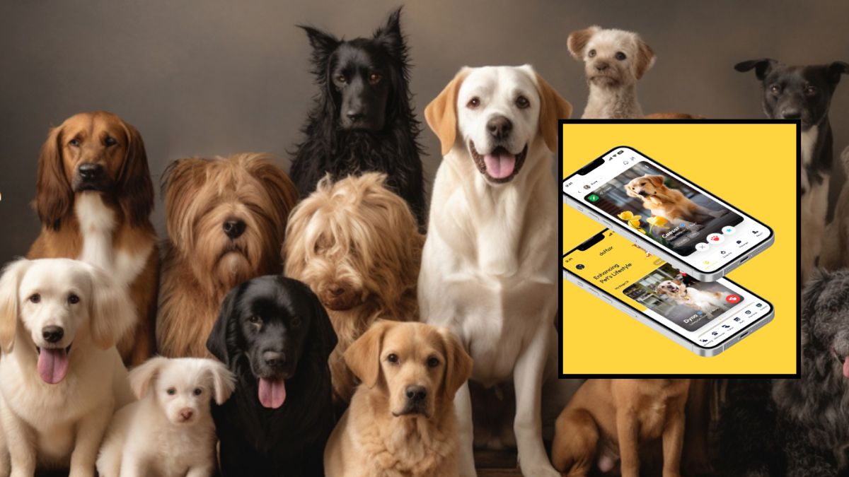 Not for You, But Your Pet! India’s First Dog Dating App Lets Your Furry ...