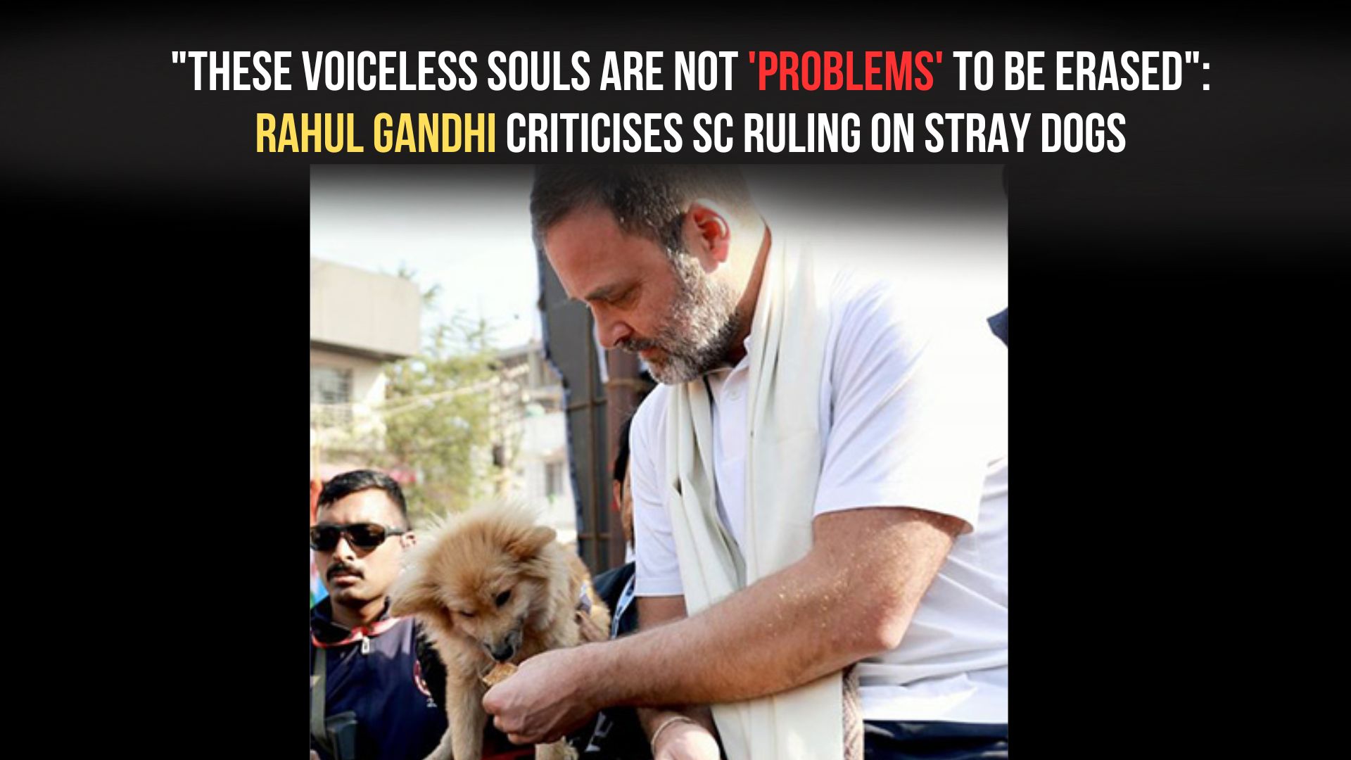 "These voiceless souls are not 'problems' to be erased": Rahul Gandhi ...