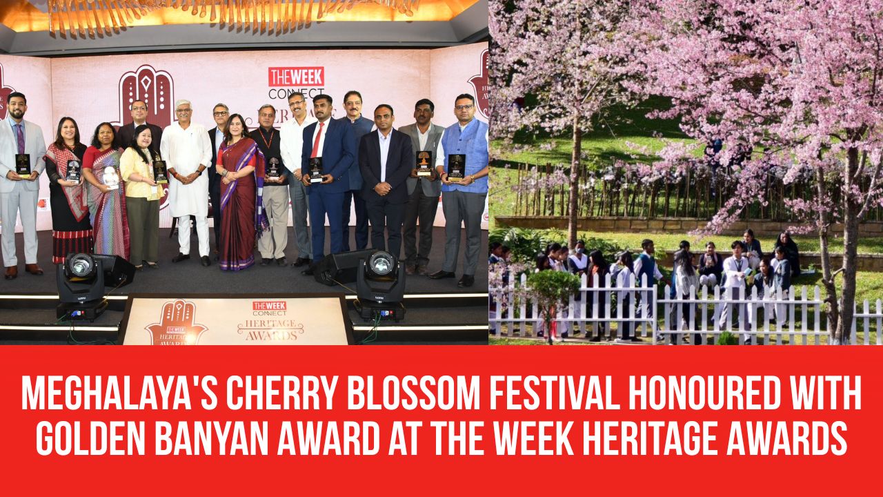 Meghalaya's Cherry Blossom Festival Honoured with Golden Banyan Award ...