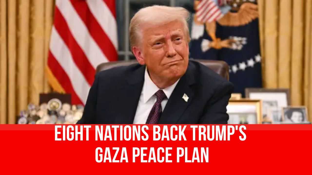 Eight nations back Trump's Gaza peace plan