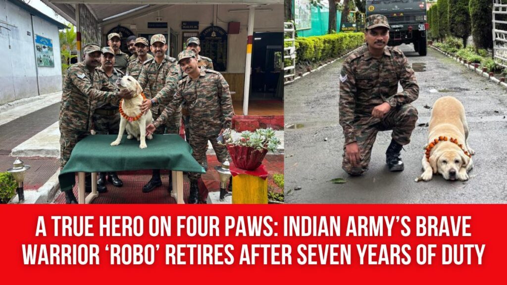 A True Hero on Four Paws: Indian Army’s Brave Warrior ‘Robo’ Retires ...