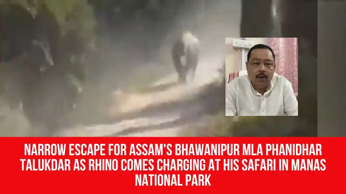 Narrow Escape for Assam's Bhawanipur MLA Phanidhar Talukdar as Rhino ...
