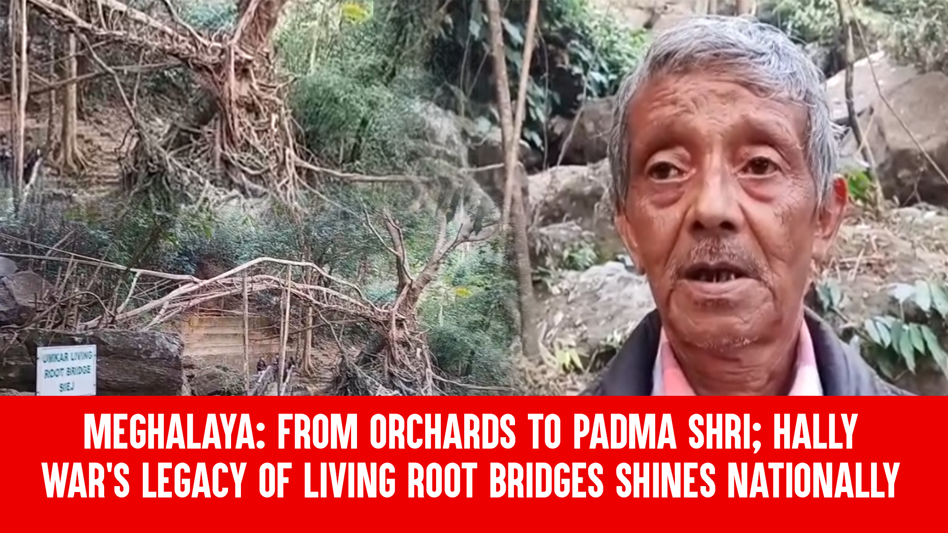 Meghalaya: From Orchards to Padma Shri; Hally War’s Legacy of Living ...