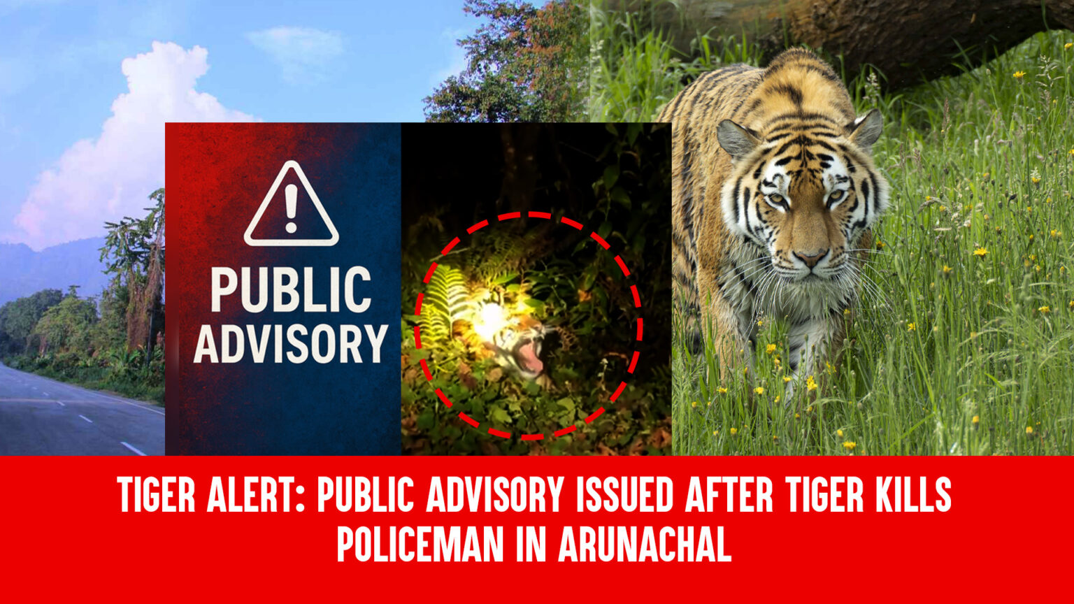 Tiger Alert: Public Advisory Issued After Tiger Kills Policeman in ...