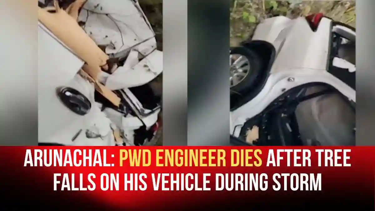 Arunachal: PWD Engineer Dies After Tree Falls on His Vehicle During Storm