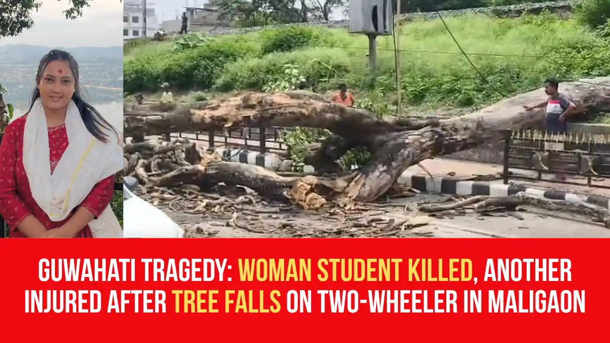 Guwahati Tragedy: Woman Student Killed, Another Injured After Tree ...